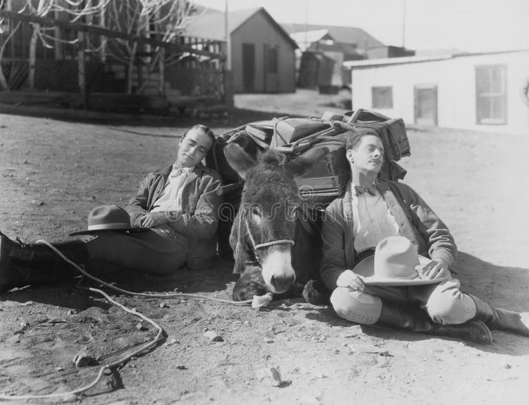 WAYFARERS stock image. Image of companion, bygone, burros - 51996925