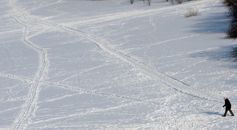 Geese Tracks on Snow stock photo. Image of wildlife, snow - 38406152