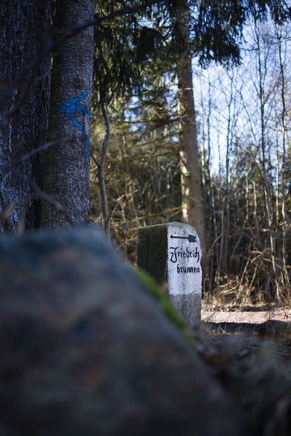 Waystone Surrounded by Dense Trees in Park Stock Photo - Image of ...