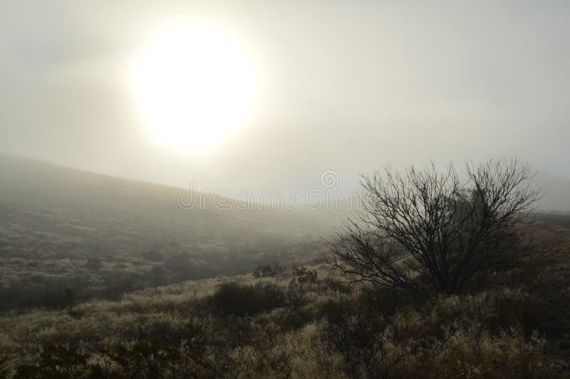 Wazige Zonnebol, Big Bend National Park, Texas Stock Afbeelding - Image ...