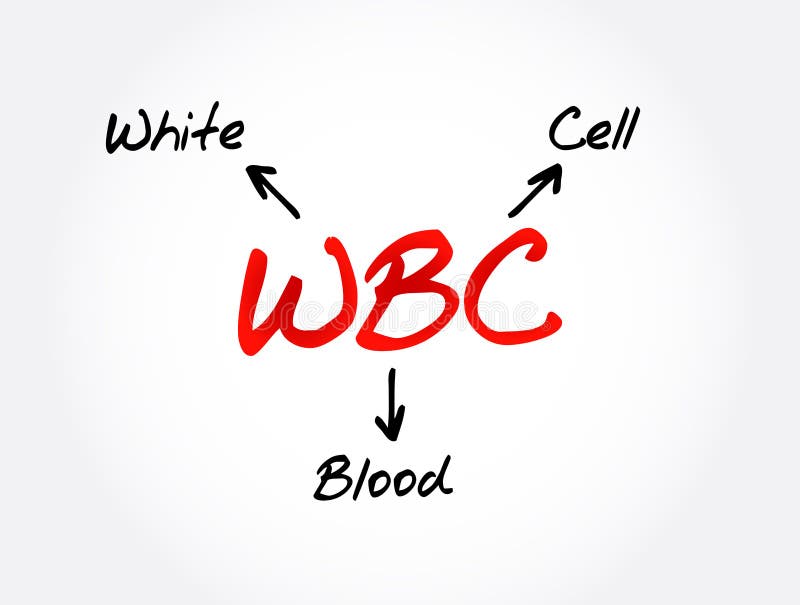 WBC - White Blood Cell Acronym, Medical Concept Background Stock ...