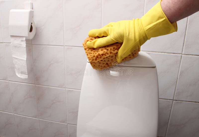 WC cleaning. stock image. Image of toilet, protective - 14526587