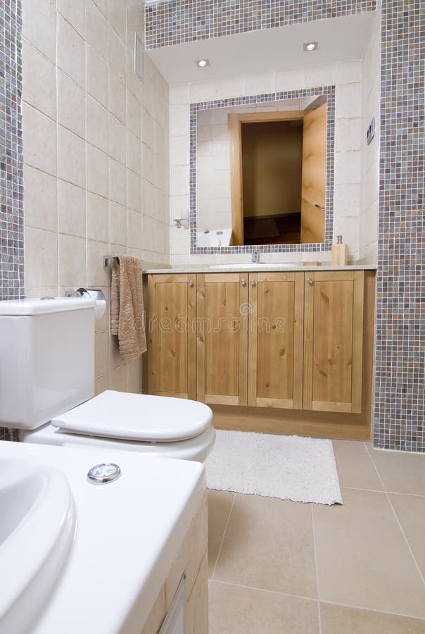 Wc room stock image. Image of wardrobe, lavatory, toilet - 10747849