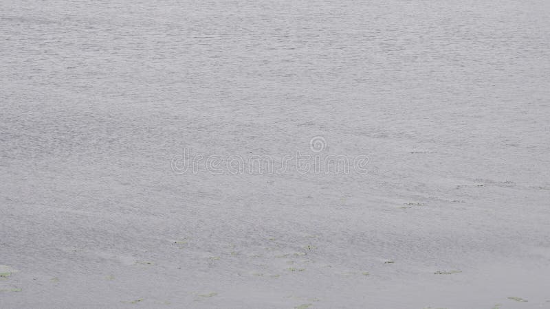Weak Rain Falling on Lake Water Surface Stock Video - Video of peaceful ...