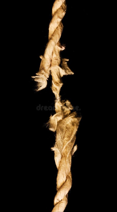 9,778 Lasso Rope Stock Photos - Free & Royalty-Free Stock Photos from ...