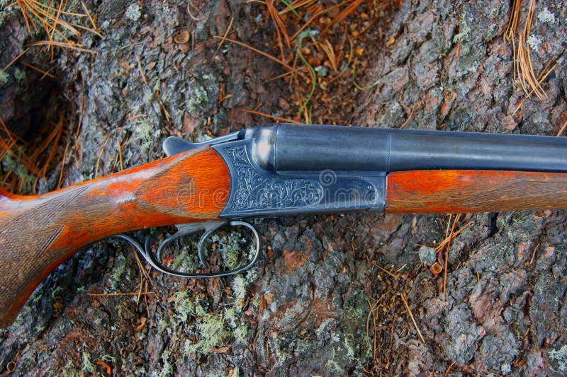 Weapon for hunt stock photo. Image of object, steel, patrons - 30832646