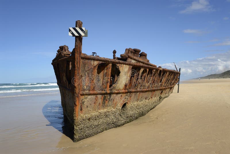 Weark on a sandy beach stock image. Image of nature, australia - 23058677