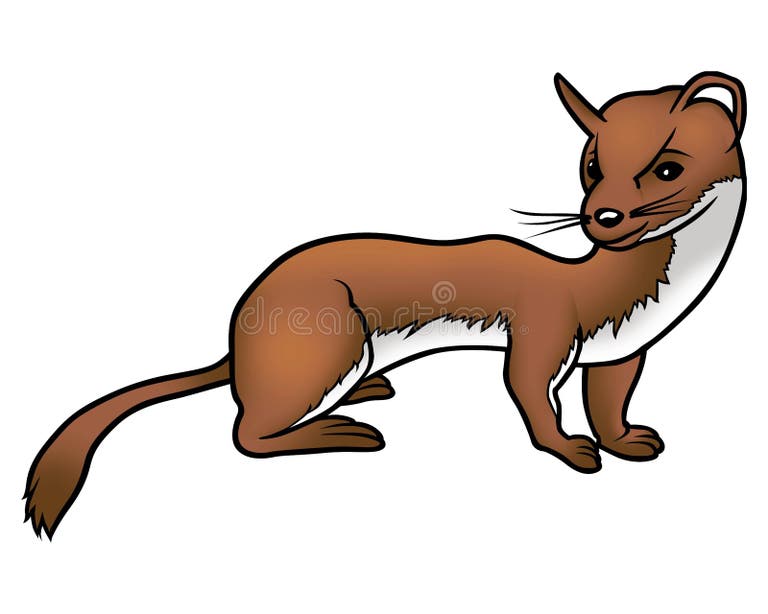 Cartoon Weasel Stock Illustrations – 2,256 Cartoon Weasel Stock ...