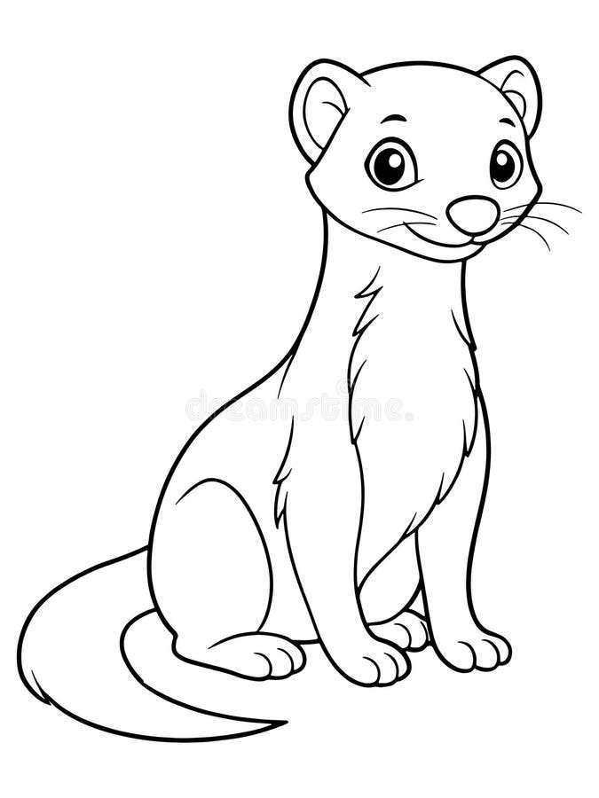 Weasel Coloring Page Cute Wildlife Drawing Vector Illustration Stock ...