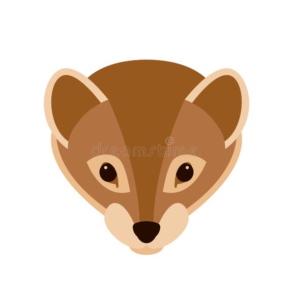 Weasel Face Vector Illustration Style Flat Front Stock Vector ...