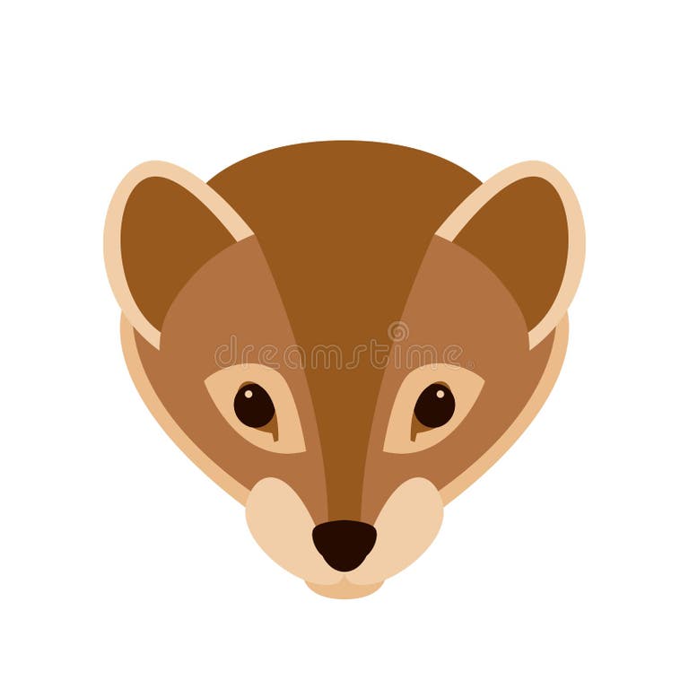 Weasel Face Vector Illustration Style Flat Front Stock Vector ...