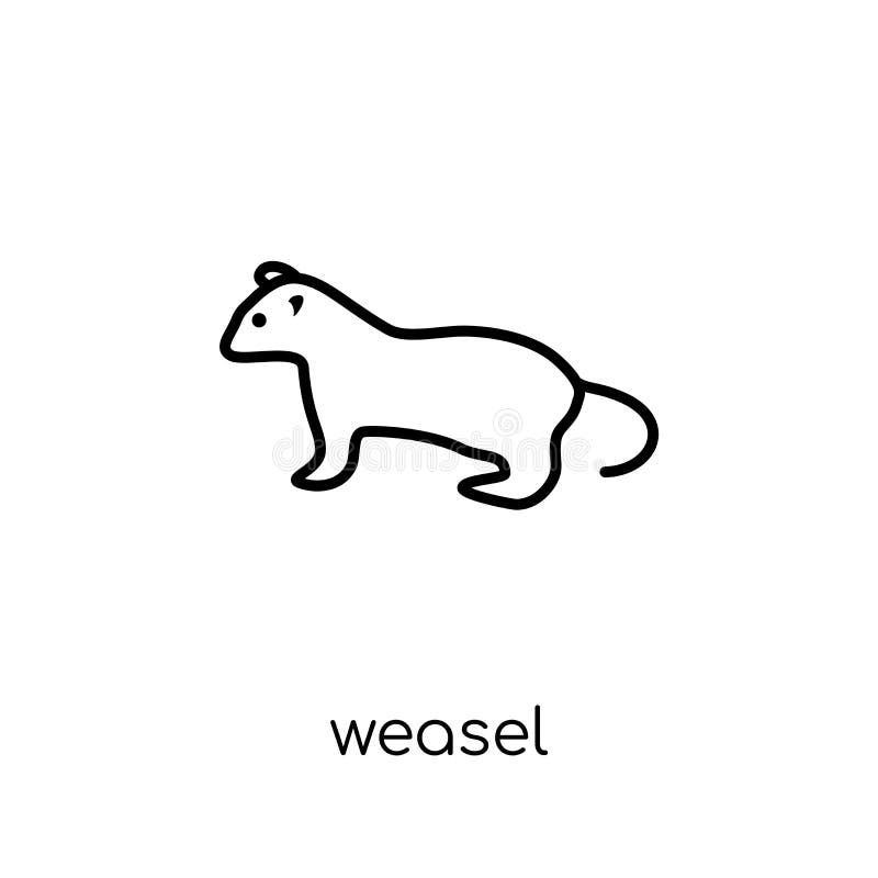Weasel Linear Icon. Modern Outline Weasel Logo Concept on White Stock ...