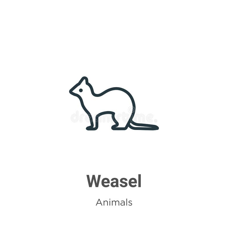 Weasel Outline Vector Icon. Thin Line Black Weasel Icon, Flat Vector ...