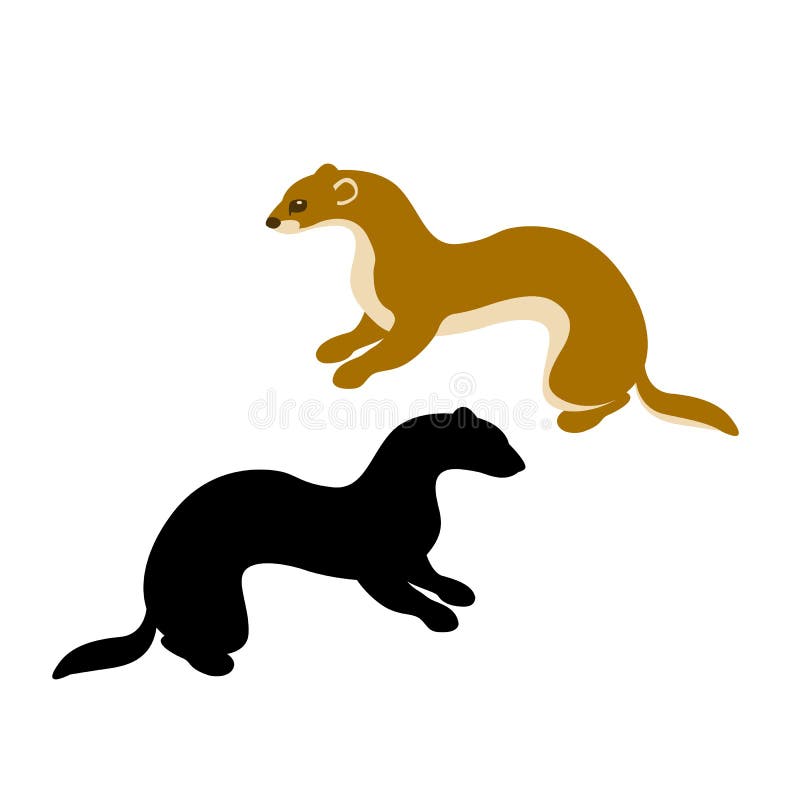 Weasel Vector Stock Illustrations – 835 Weasel Vector Stock ...