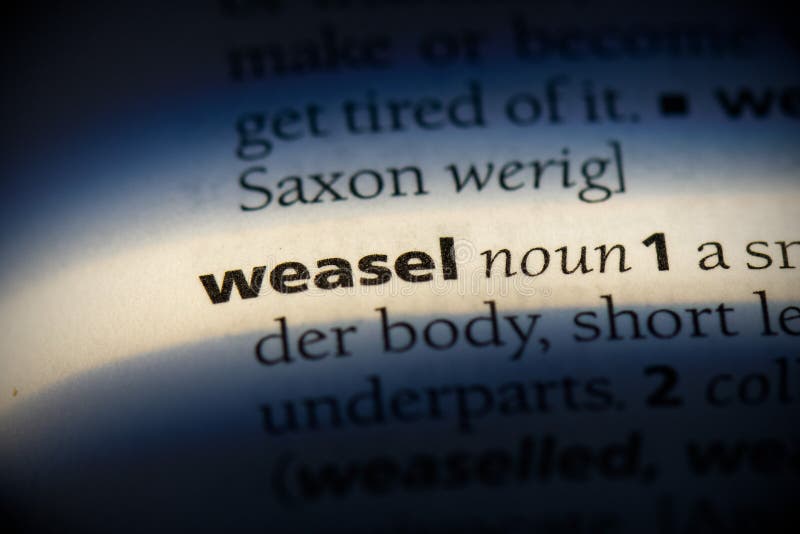 Weasel stock photo. Image of macro, vocabulary, highlighted - 161577110