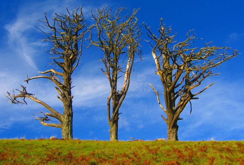 Stock Photos and Royalty-Free Images by Dreamstime