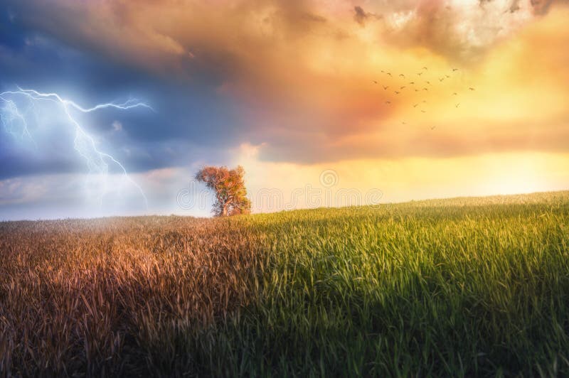 Weather Changing, Seasonal, and Climate Stock Photo - Image of global ...