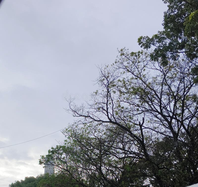 Weather Nature Beauty Cloud Sky Tree Nature Amazing Stock Photo - Image ...
