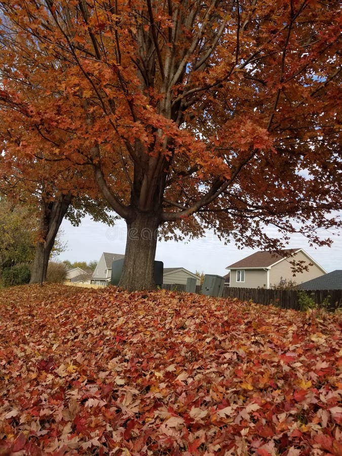 Weather in October stock image. Image of times, tree - 166035825