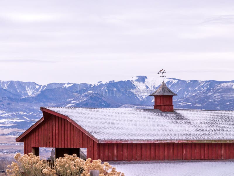 Weather Vane on Red Barn, Winter Stock Photo - Image of exterior ...