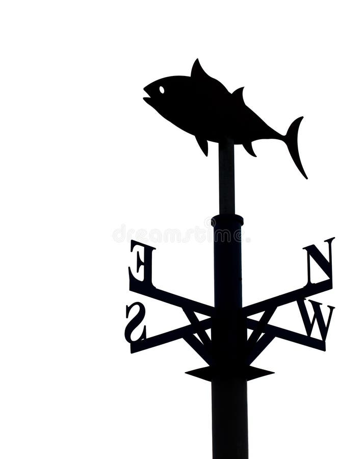 South Pointing Fish Stock Photos - Free & Royalty-Free Stock Photos ...