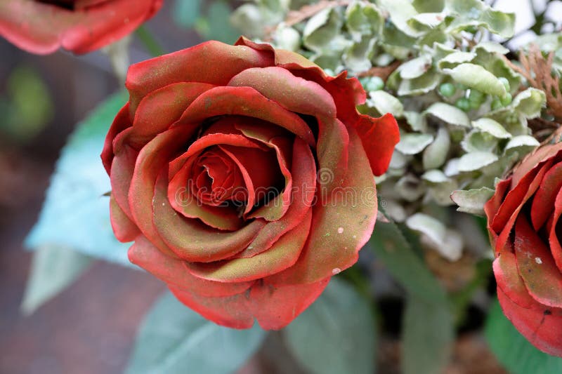 Weathered Artificial Red Rose Stock Photo - Image of green, floral ...