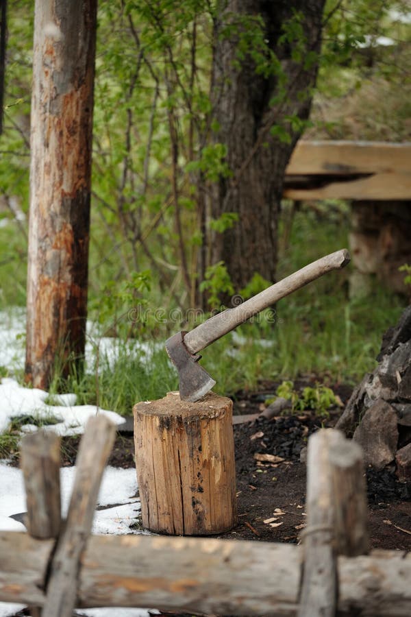 Weathered Axe Embedded in Stump in Forest Setting Stock Image - Image ...