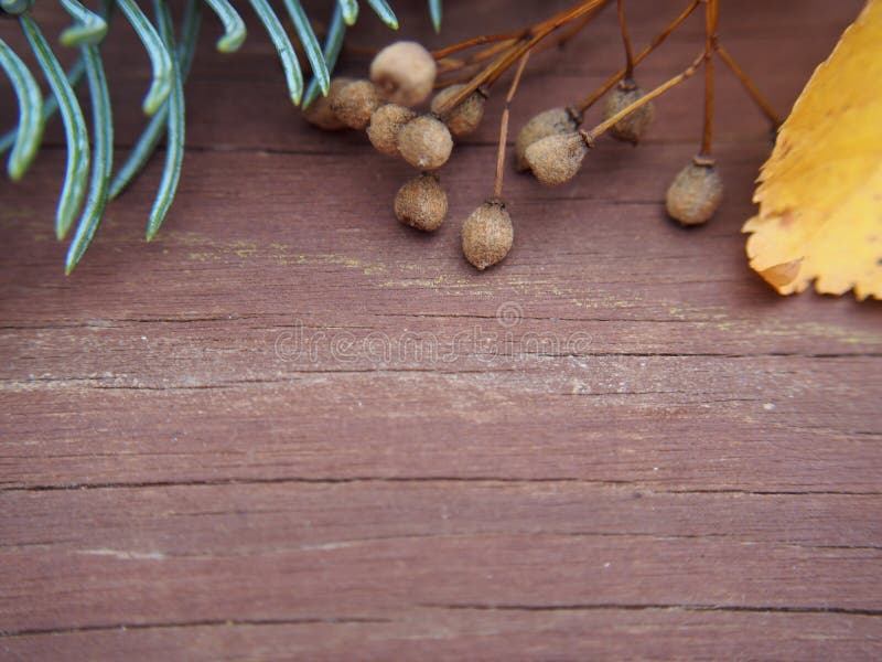 Weathered Barn Wood Background Stock Photo - Image of orange, board ...