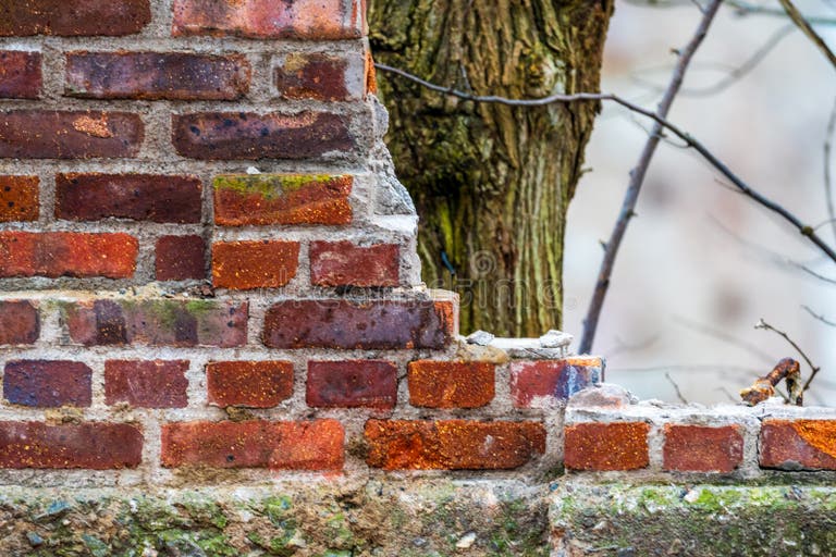 Weathered Brick Wall with Broken Edge and Moss Growth.. Stock Image ...
