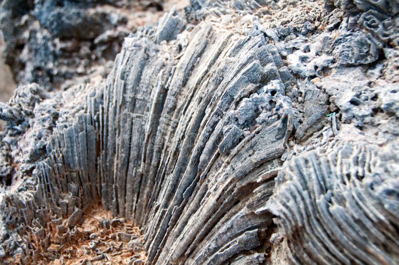 Weathered Coastal Rock Formation Stock Image - Image of structure ...