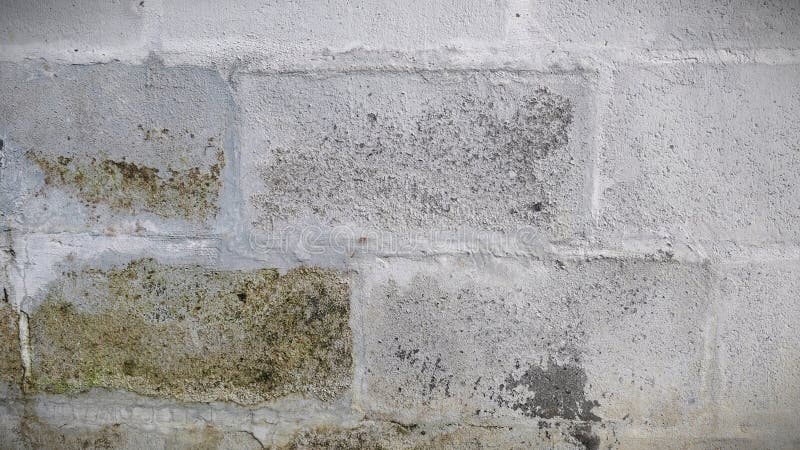 Weathered Concrete Blocks with Signs of Moss and Stain Stock Photo ...