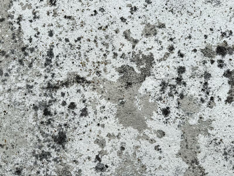 Weathered Concrete Surface with Black Mold Spots Texture Background for ...