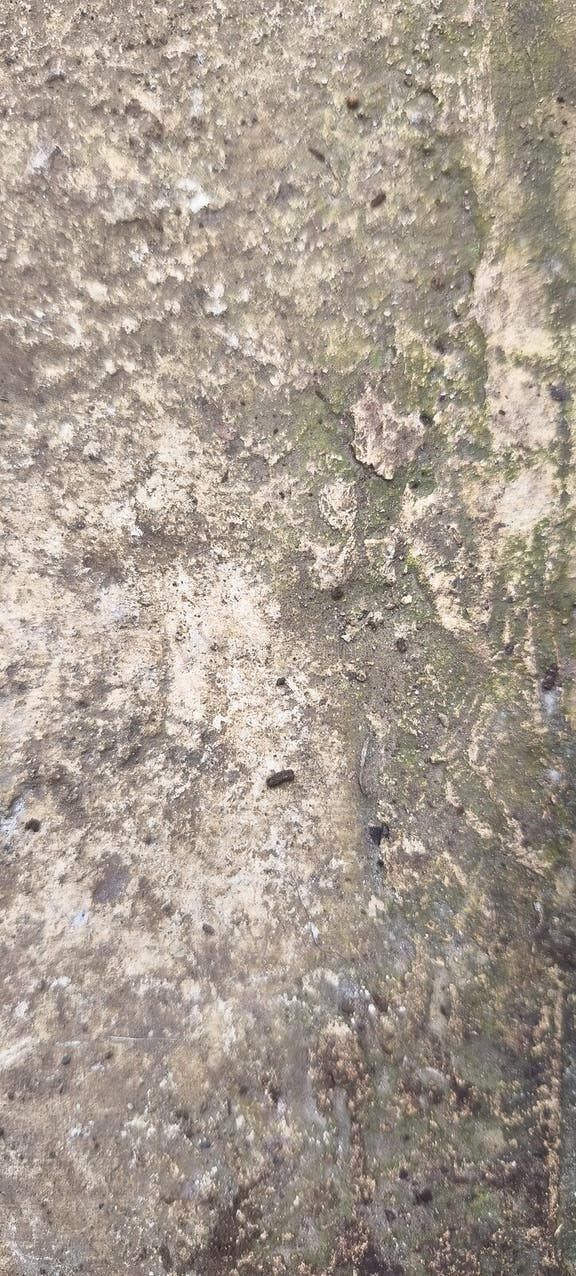 Weathered Concrete Surface with Moss and Dirt Textures – Perfect for ...