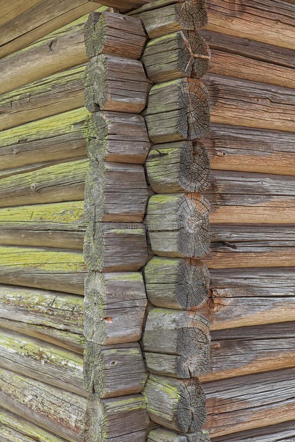 Old log cabin corner. stock photo. Image of construction - 366749260