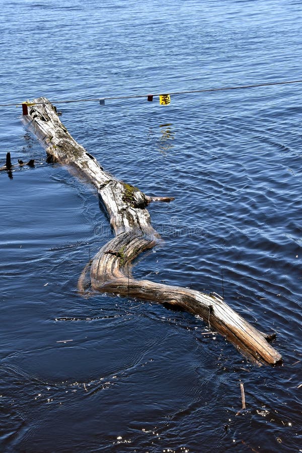 657 Log Floating River Stock Photos - Free & Royalty-Free Stock Photos ...