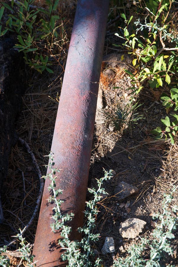 Weathered Culvert Pipe in Forest Beneath Old Road Stock Image - Image ...