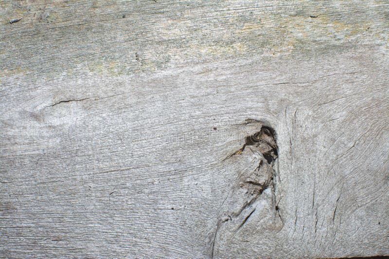 Weathered and Decayed Wall Plank Wood Texture Stock Image - Image of ...