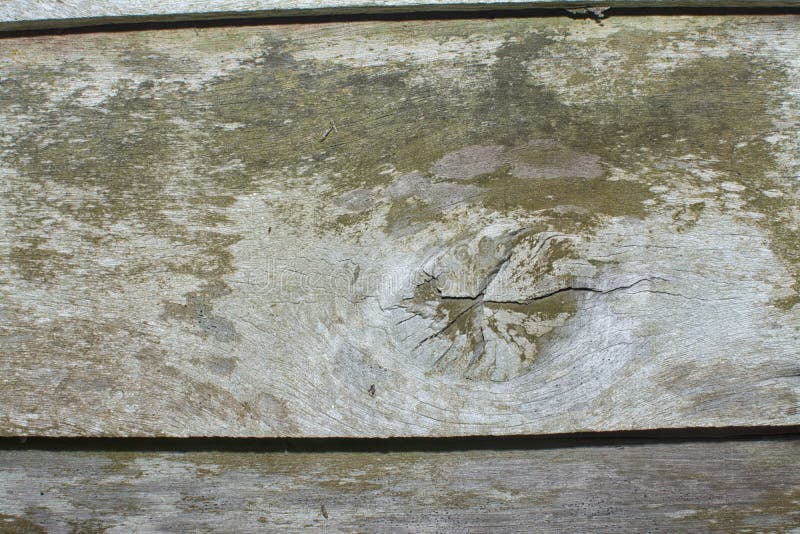 Weathered and Decayed Wall Plank Wood Texture Stock Photo - Image of ...