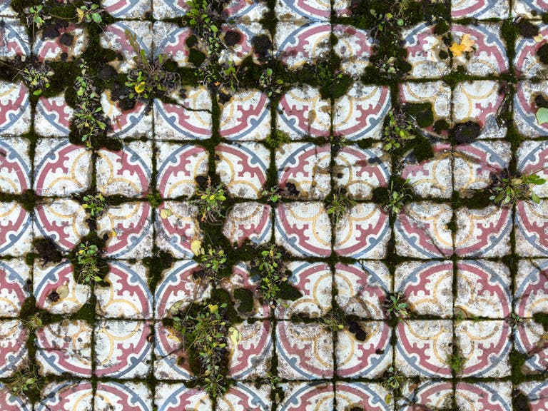 Weathered Decorative Tiles with Moss and Grass in an Overgrown Pathway ...