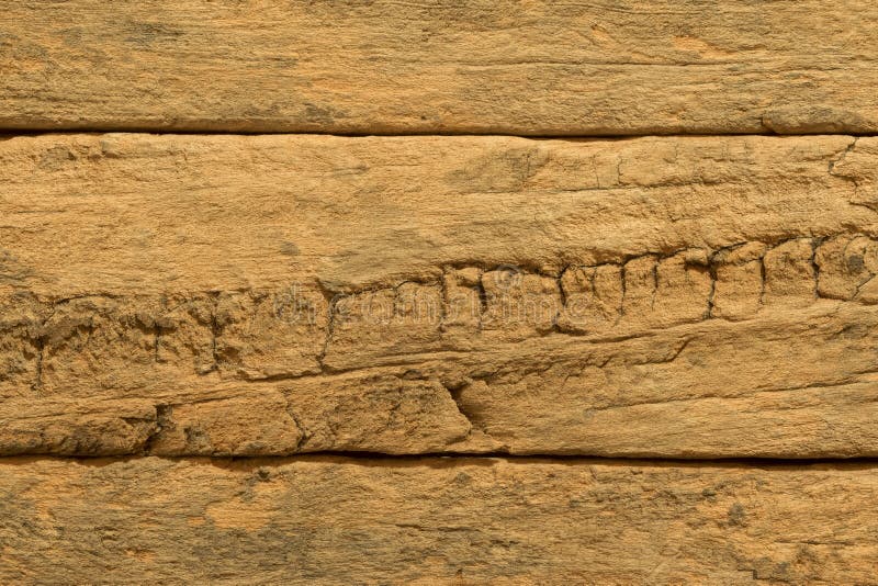 Rustic Demolition Wood Section Texture Detail Stock Image - Image of ...