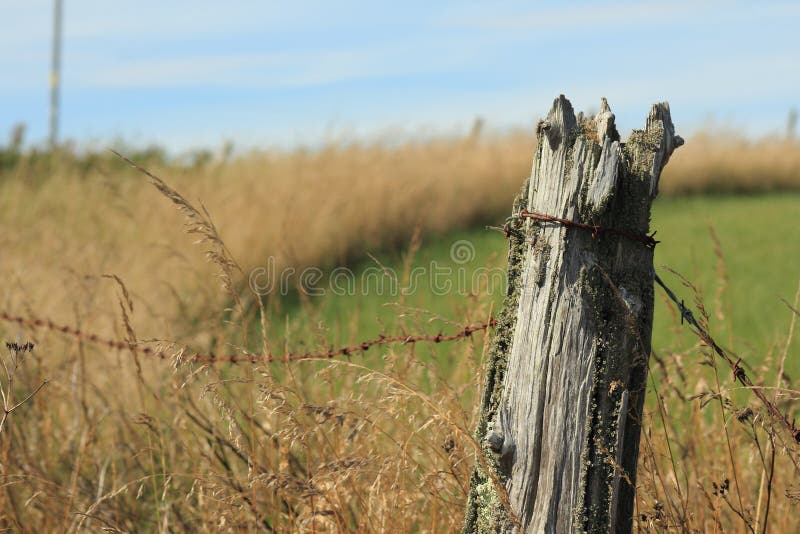 Weathered Zig-zag Log Fence Stock Photo - Image of wood, weathered ...
