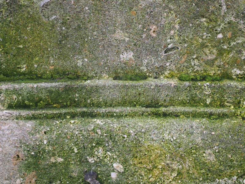 Weathered Grey Concrete with Moss Texture Background Stock Image ...