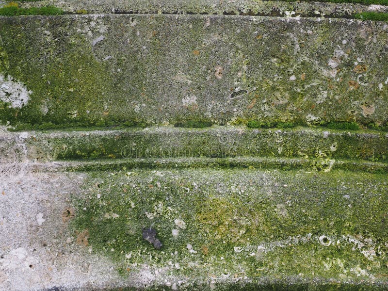 Weathered Grey Concrete with Moss Texture Background Stock Image ...