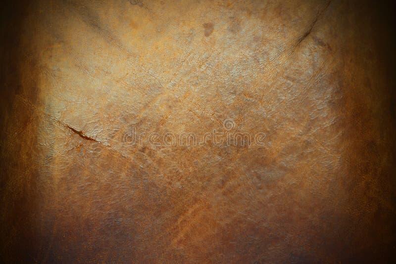 Weathered leather cowhide. stock photo. Image of texture - 16230006