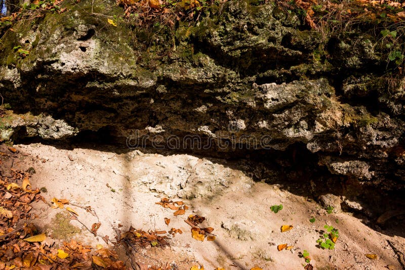 Weathered Limestone Exposed To the Surface in a Forested Area Stock ...