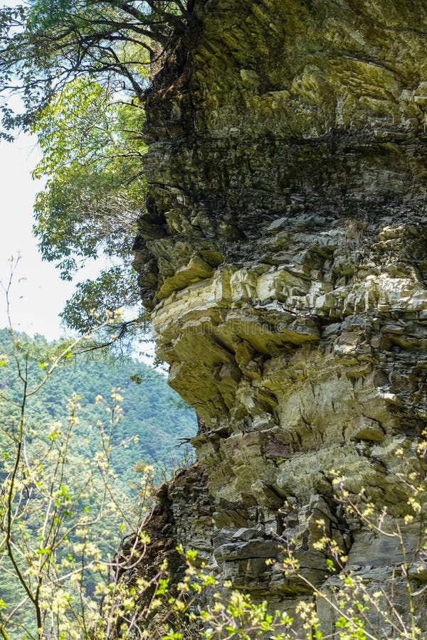 1,128 Weathered Limestone Cliff Background Stock Photos - Free ...