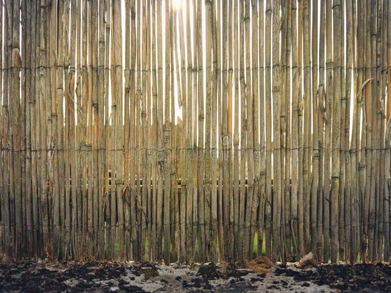 Weathered Old Garden Reed Fence Stock Photo - Image of traditional ...