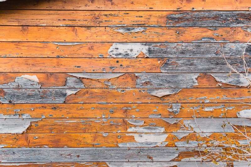 Weathered Peeling Wood Plank Texture Decayed and Teared Apart Stock ...