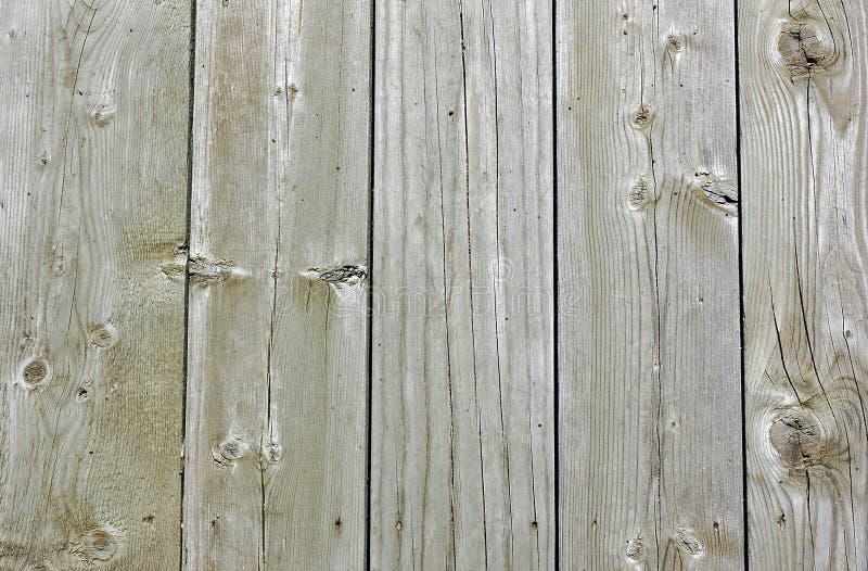 Weathered Pine Boards stock image. Image of wooden, barnboards - 98263