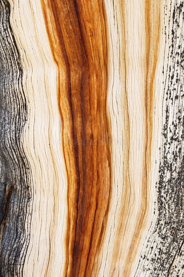 Wood Grain stock photo. Image of orange, yellow, weathered - 34606868